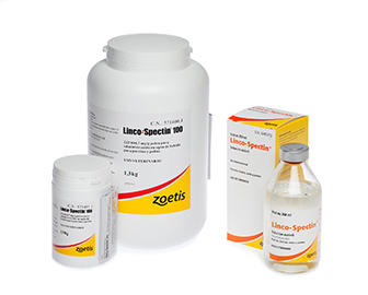 LINCO-SPECTIN SOLUCION ESTERIL | Zoetis ES